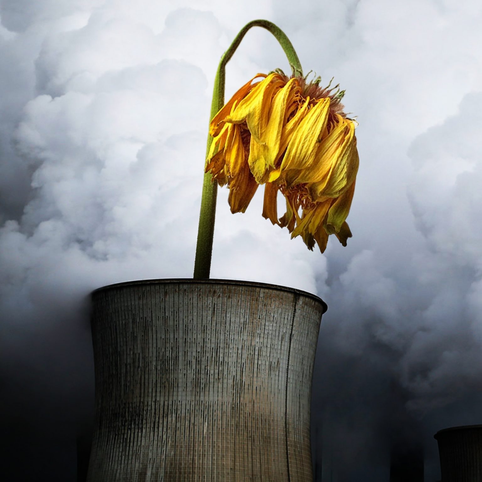 Capitalism and pollinator decline – Challenge Magazine